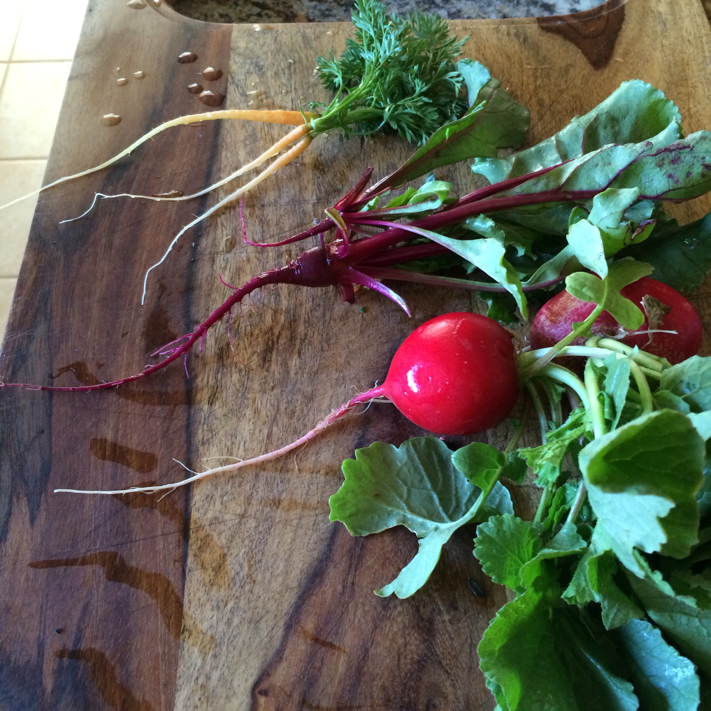 Root crops